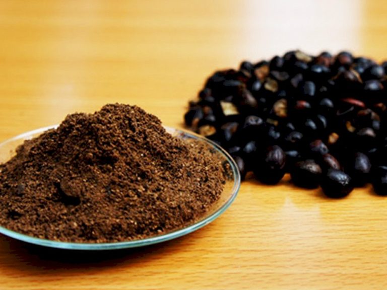 Proses Dan Kegunaan Kernel Sawit - Industri Sawit